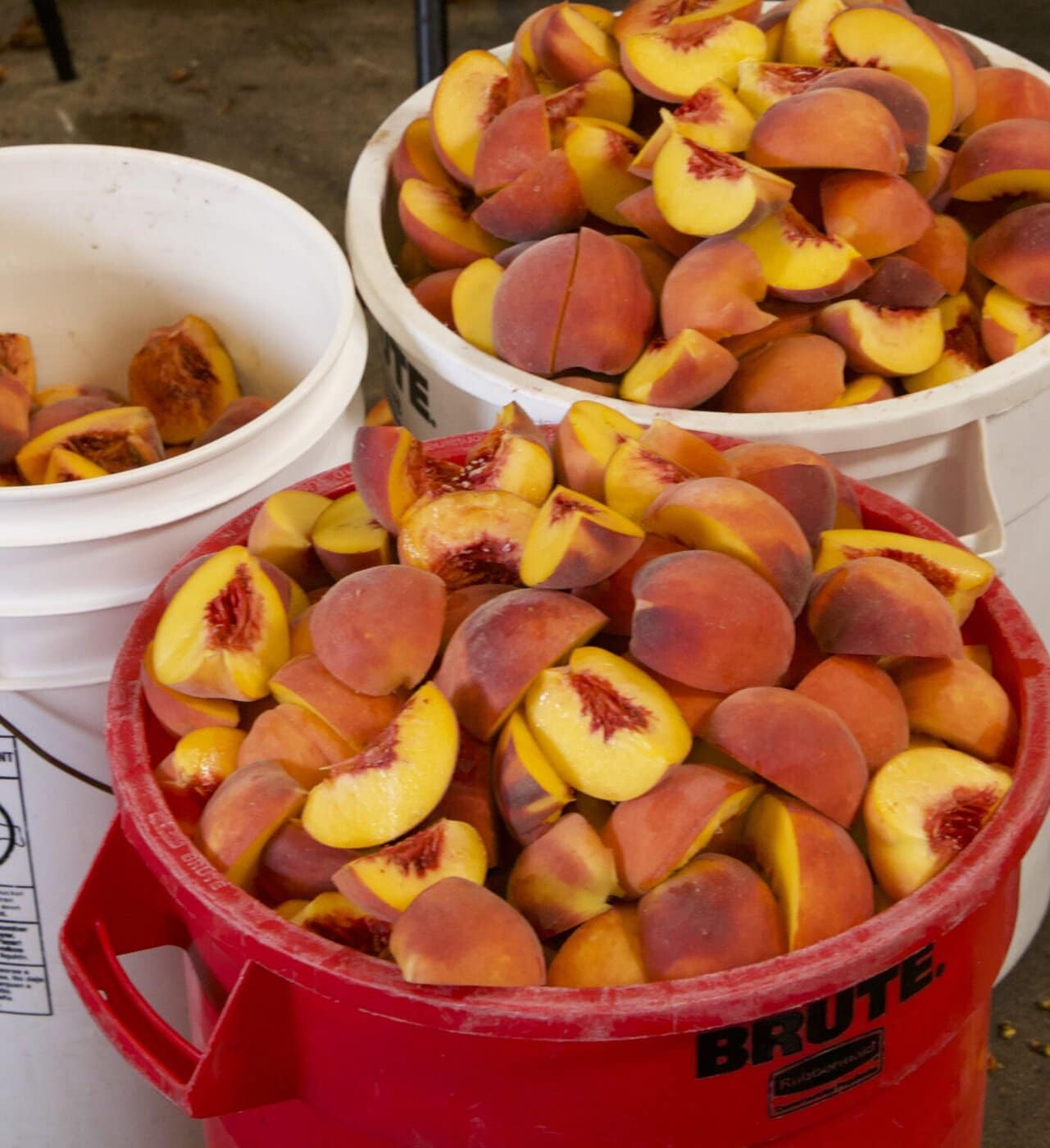 Cellarmaker Brewing Company